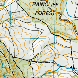 RAINCLIFF FOREST, Canterbury - NZ Topo Map