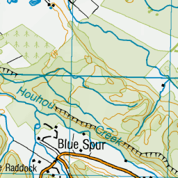 Blue Spur, West Coast - NZ Topo Map