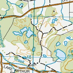Lake Arthur, West Coast - NZ Topo Map