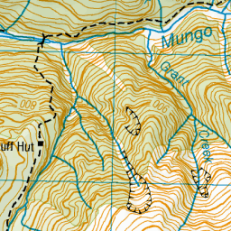 Mungo River, West Coast - NZ Topo Map