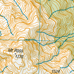Mount Ross, West Coast - NZ Topo Map
