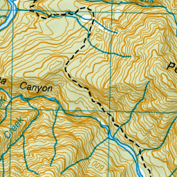 Toaroha River, West Coast - NZ Topo Map