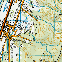 Paroa, West Coast - NZ Topo Map