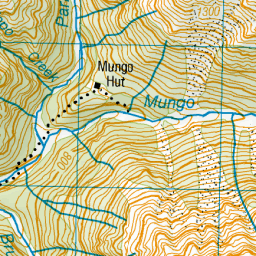 Mungo River, West Coast - NZ Topo Map