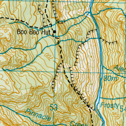 Boo Boo Hut, West Coast - NZ Topo Map
