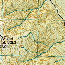 Tuhua, West Coast - NZ Topo Map