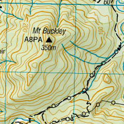 Mount Buckley, West Coast - NZ Topo Map