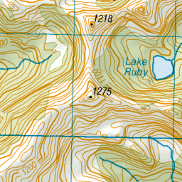 Lake Ruby, West Coast - NZ Topo Map