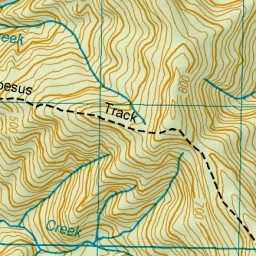 Croesus Track, West Coast - NZ Topo Map