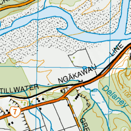 Delaney Creek, West Coast - NZ Topo Map