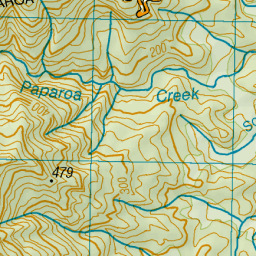 Paparoa Creek, West Coast - NZ Topo Map