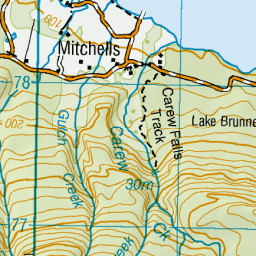 Lake Brunner Reserve, West Coast - NZ Topo Map