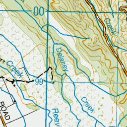 Delaney Creek, West Coast - NZ Topo Map