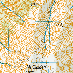 Mount Oakden, Canterbury - NZ Topo Map