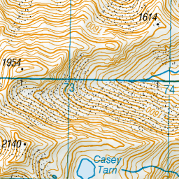 Casey Tarn, Canterbury - NZ Topo Map