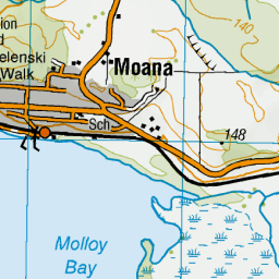 Moana, West Coast - NZ Topo Map