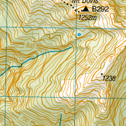 Mount Bovis, West Coast - NZ Topo Map