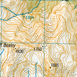 Mount Bealey, Canterbury - NZ Topo Map