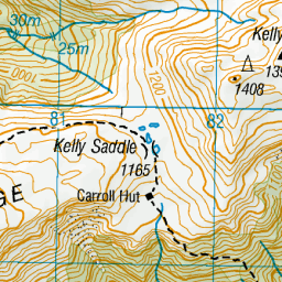 Carroll Hut, West Coast - NZ Topo Map