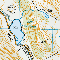 Lake Georgina, Canterbury - NZ Topo Map