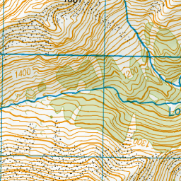 New Zealand Topographic Map - NZ Topo Map