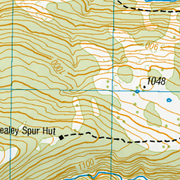 Bealey Spur Hut, Canterbury - NZ Topo Map