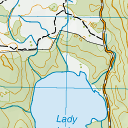 Lady Lake, West Coast - NZ Topo Map