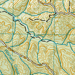 Wishart Creek, West Coast - NZ Topo Map