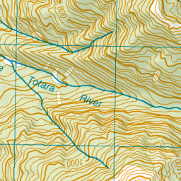 Little Totara River, West Coast - NZ Topo Map