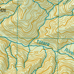 Totara River, West Coast - NZ Topo Map