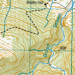 Bealey Hut, Canterbury - NZ Topo Map