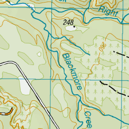 Blackmore Creek, West Coast - NZ Topo Map