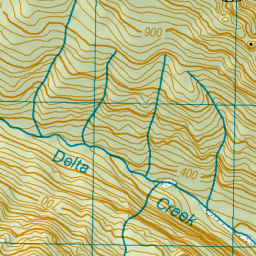 Delta Creek, West Coast - NZ Topo Map