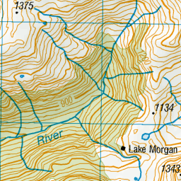 Lake Morgan Hut, West Coast - NZ Topo Map