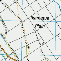 Ikamatua Plain, West Coast - NZ Topo Map