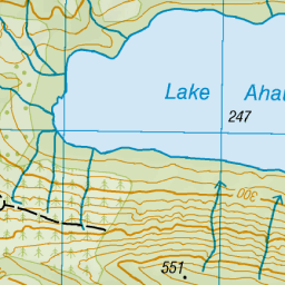 Lake Ahaura, West Coast - NZ Topo Map