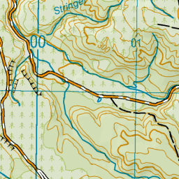 Stringer Creek, West Coast - NZ Topo Map