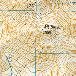 Mount Binser, Canterbury - NZ Topo Map