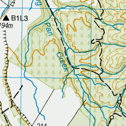 Frying Pan Creek, West Coast - NZ Topo Map