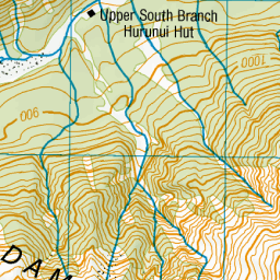 Upper South Branch Hurunui Hut, Canterbury - NZ Topo Map
