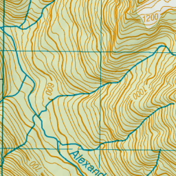 Alexander River, West Coast - NZ Topo Map