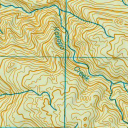 Kokopo Creek, West Coast - NZ Topo Map