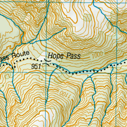 Hope Pass, West Coast - NZ Topo Map
