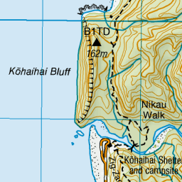 Nikau Walk, West Coast - NZ Topo Map