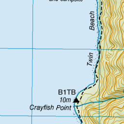 Crayfish Point, West Coast - NZ Topo Map