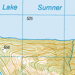 Lake Sumner, Canterbury - NZ Topo Map