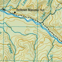 Bell Town Manunui Hut, West Coast - NZ Topo Map