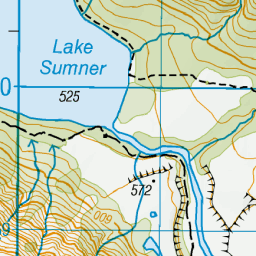 Lake Sumner, Canterbury - NZ Topo Map