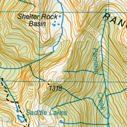 Saddle Lakes, West Coast - NZ Topo Map