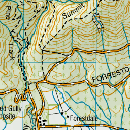 Forestdale, Canterbury - NZ Topo Map